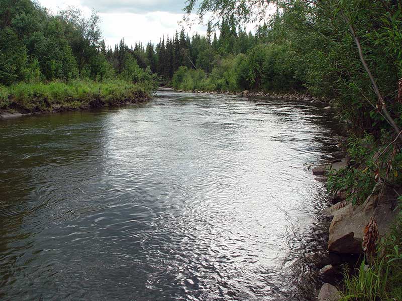 Fish Passage Improvement site 40500263