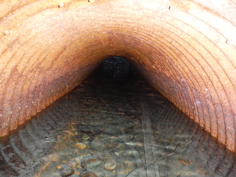 Fish Passage Improvement site 20101904