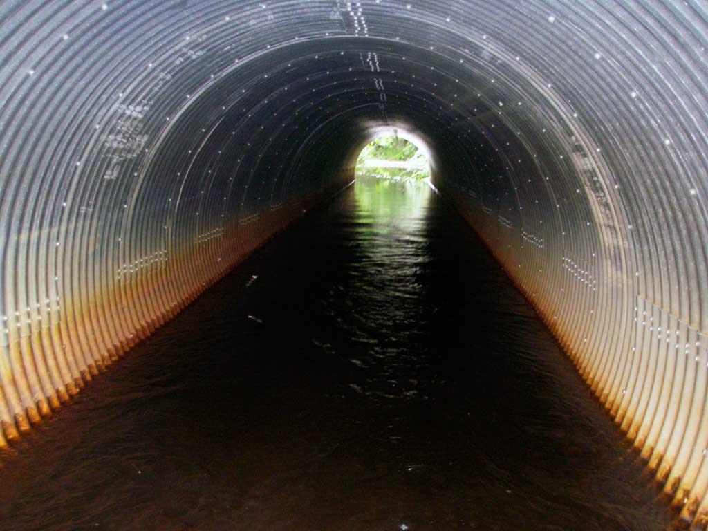Fish Passage Improvement site 20100488