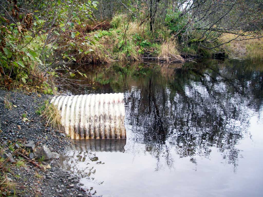 Fish Passage Improvement site 20100499