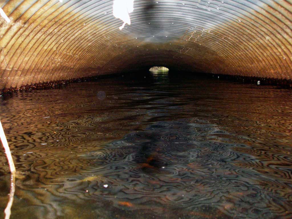 Fish Passage Improvement site 20100499