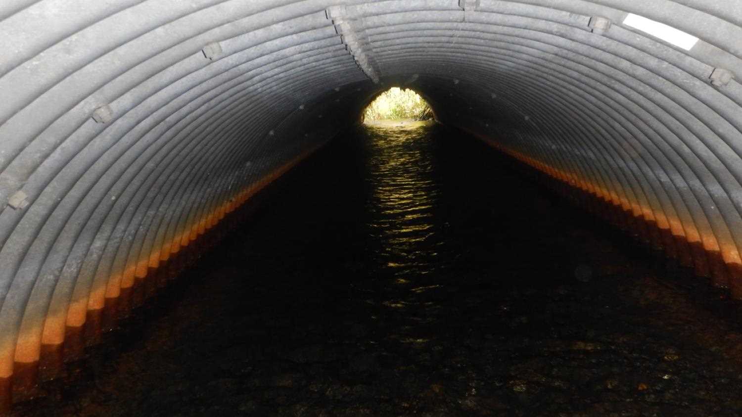 Fish Passage Improvement site 20200640