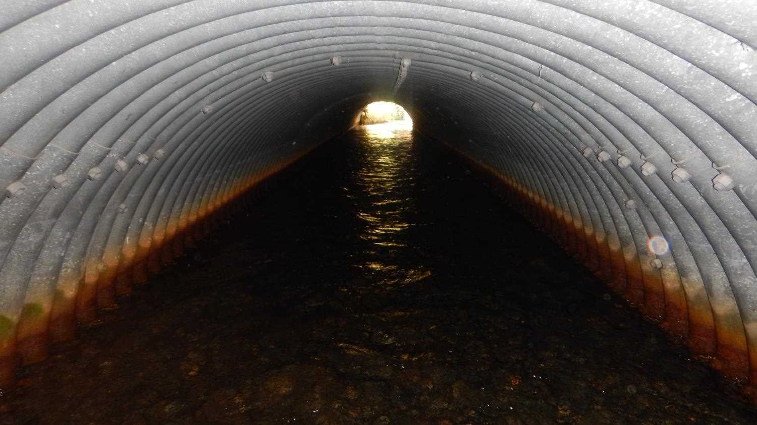Fish Passage Improvement site 20200640
