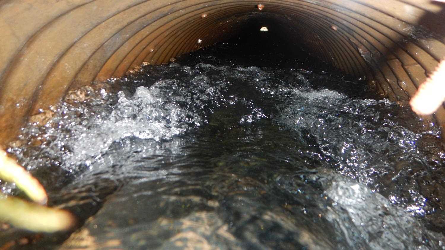 Fish Passage Improvement site 20200642