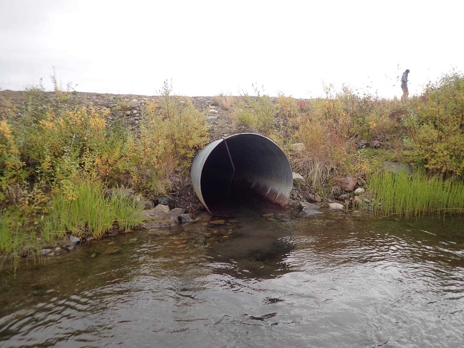 Fish Passage Improvement site 20500275
