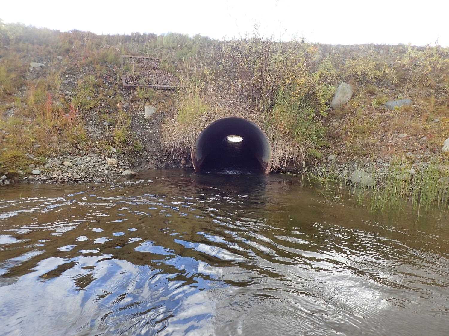 Fish Passage Improvement site 20500287