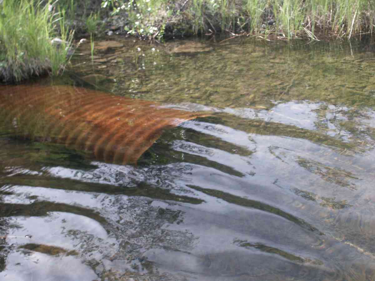 Fish Passage Improvement site 40501373