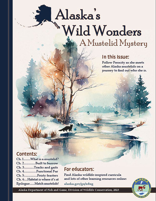 A Mustelid Mystery - Alaska's Wild Wonders (Issue 13), Alaska ...
