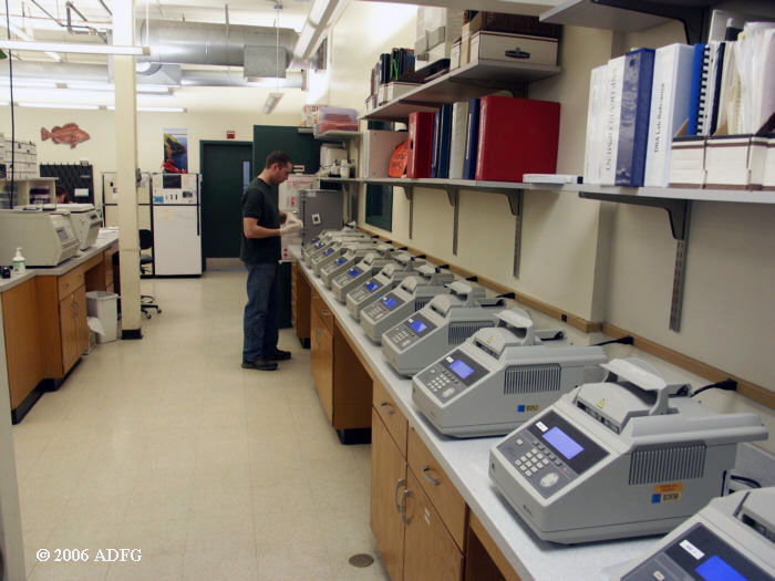 Gene Conservation Laboratory - Loading Samples, Division of Commercial ...