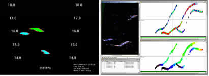 Sonar Tools: DIDSON, Alaska Fisheries Sonar, Alaska Department of Fish ...