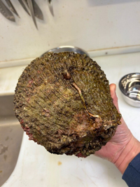 Sport Fisheries, Alaska Department of Fish and Game