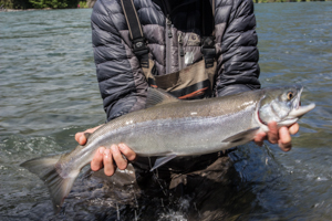 Sport Fisheries, Alaska Department of Fish and Game