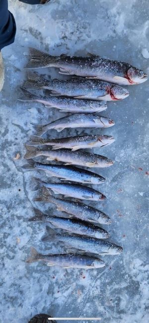 Sport Fisheries, Alaska Department of Fish and Game