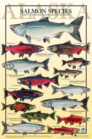 Alaska Department of Fish and Game