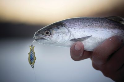 Sport Fisheries, Alaska Department of Fish and Game