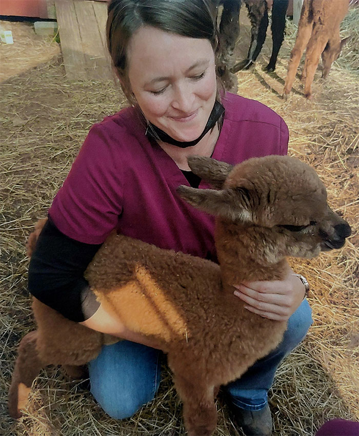 Foraging Ecology & Wildlife Nutritional Analysis Lab, Alaska Department ...